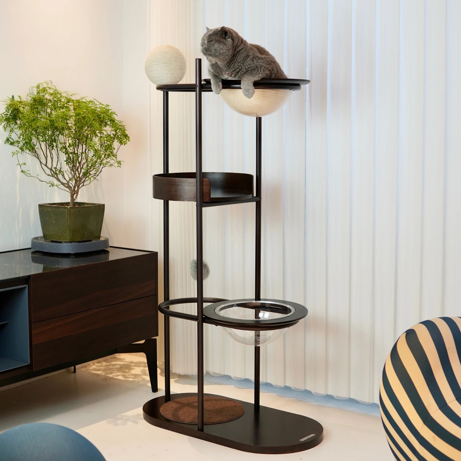 Space Capsule DBL – Double Capsule Wooden Cat Tower | Modern Cat ...